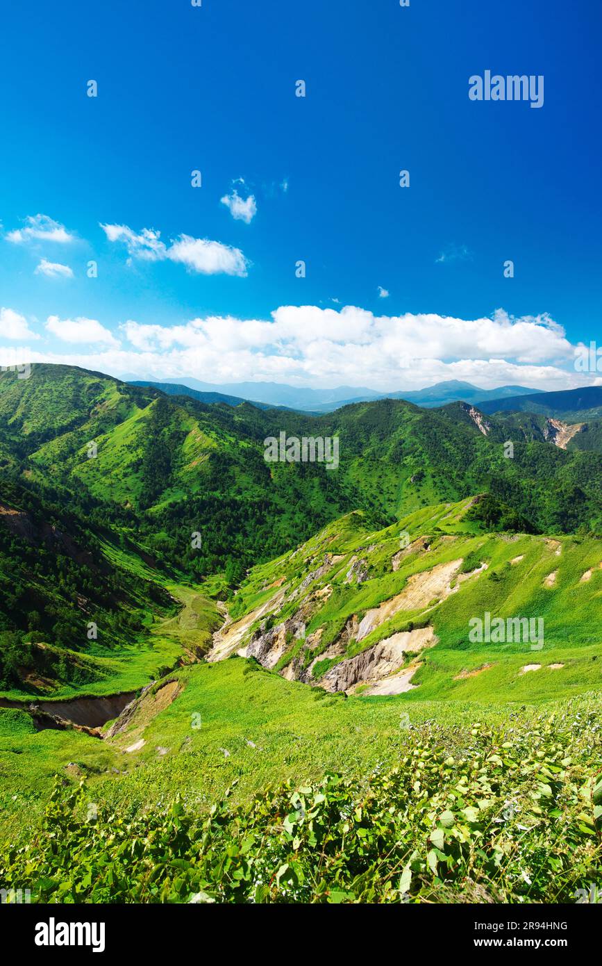 Highlands nature hi-res stock photography and images - Alamy