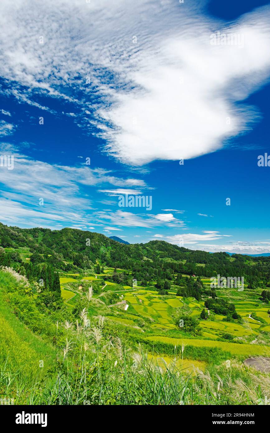 Rice terraces of Hoshitoge Stock Photo - Alamy