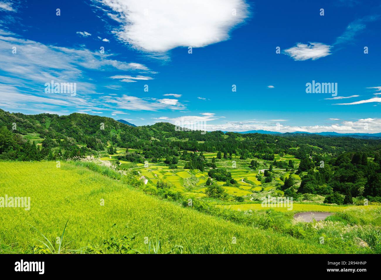 Rice terraces of Hoshitoge Stock Photo - Alamy