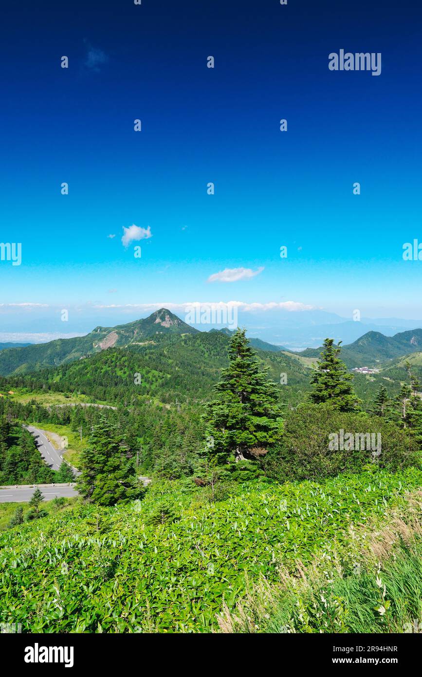 Shiga gun hi-res stock photography and images - Alamy