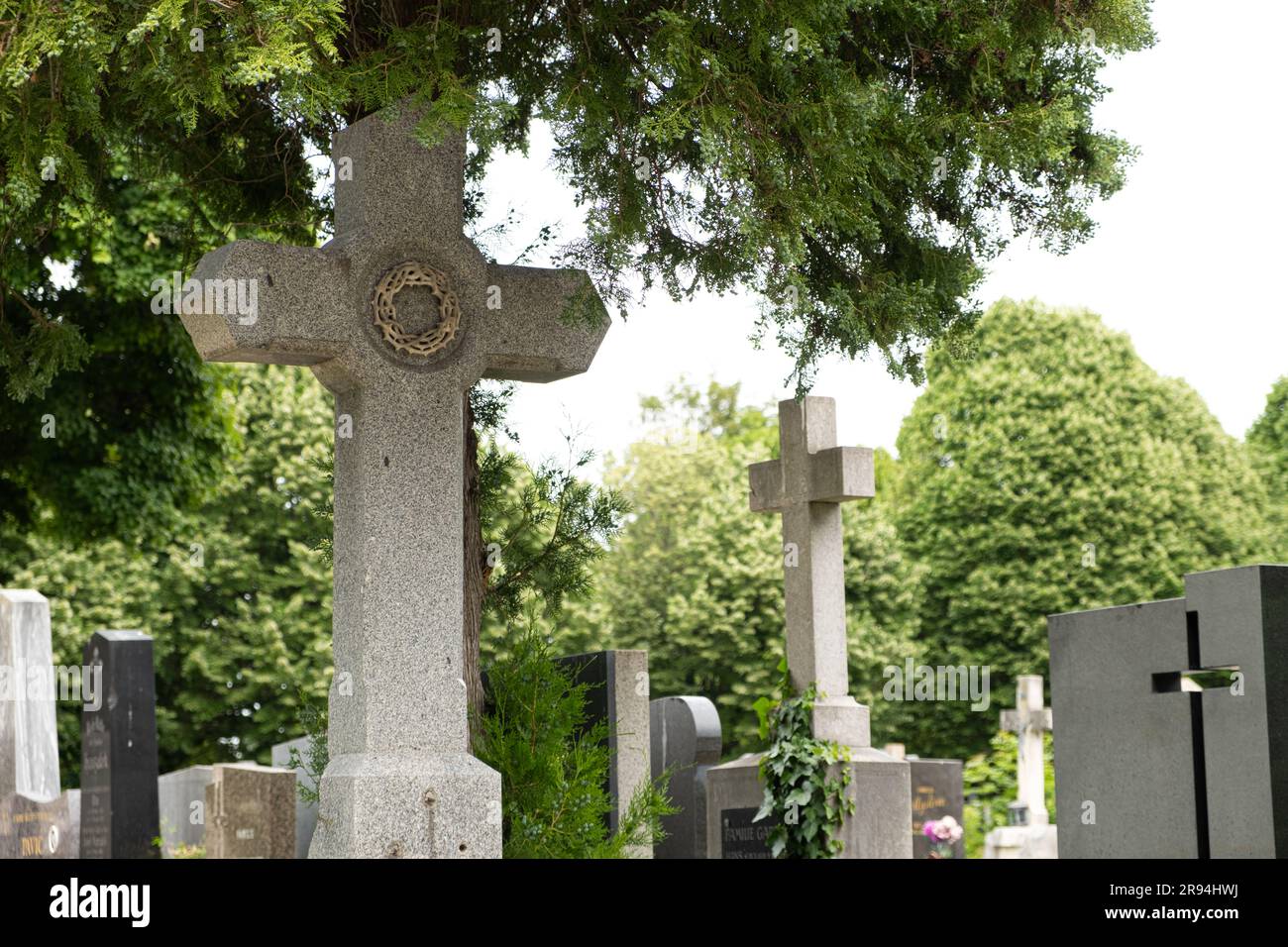 A cemetery in Europe, many crosses on the graves among the trees Stock ...