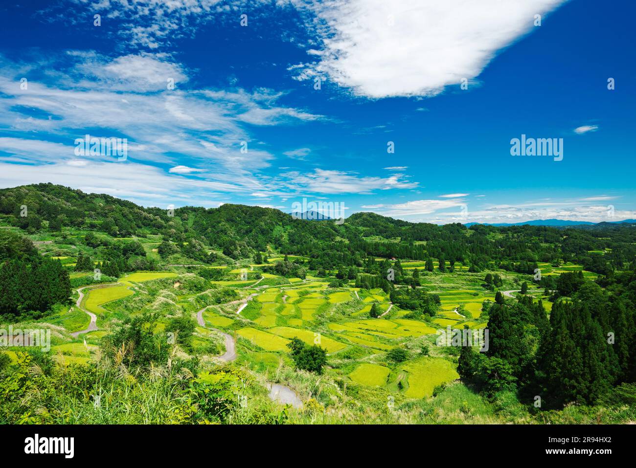 Rice terraces of Hoshitoge Stock Photo - Alamy