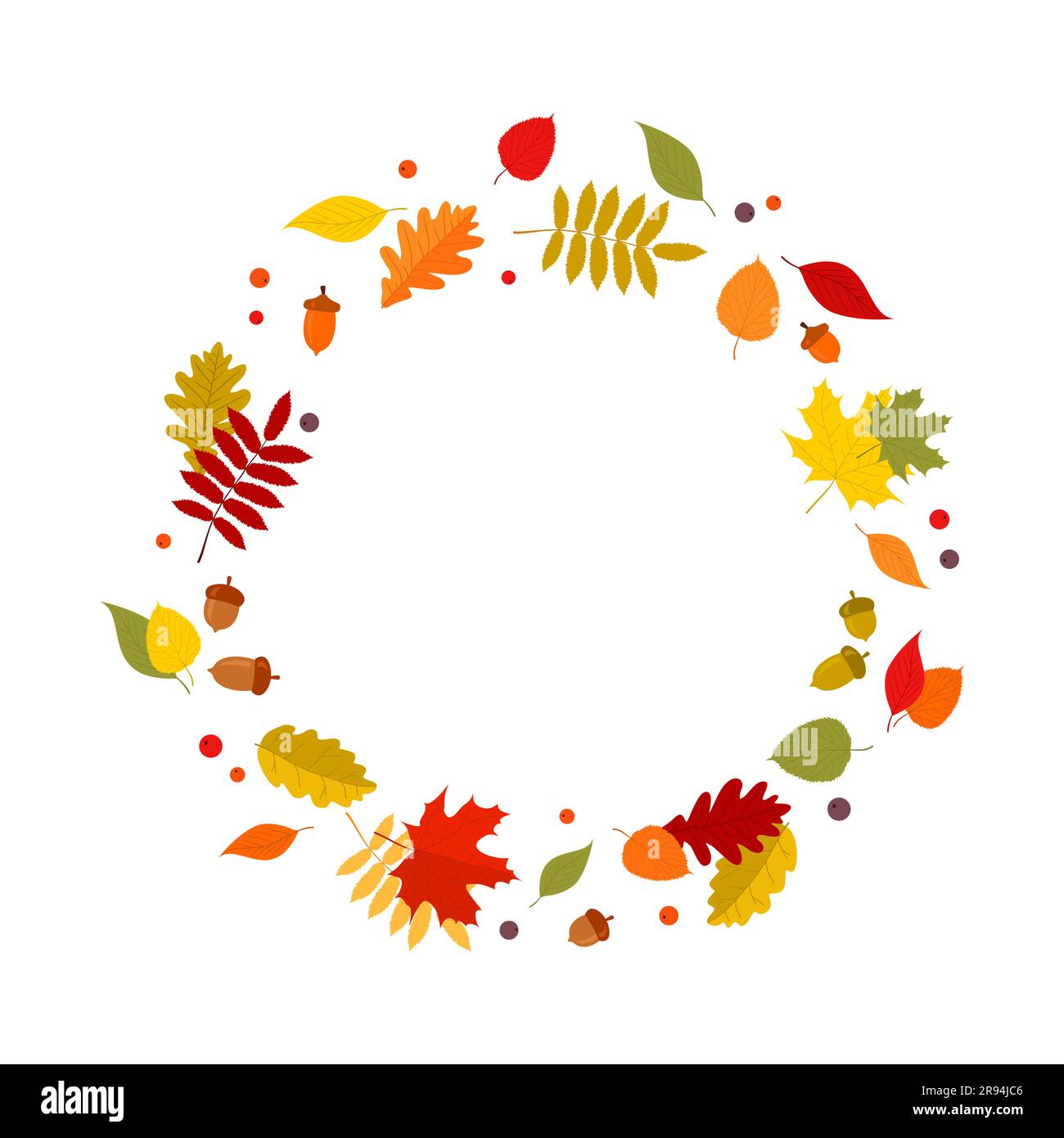 Circle of multicolored autumn leaves, berries and acorns on a white ...