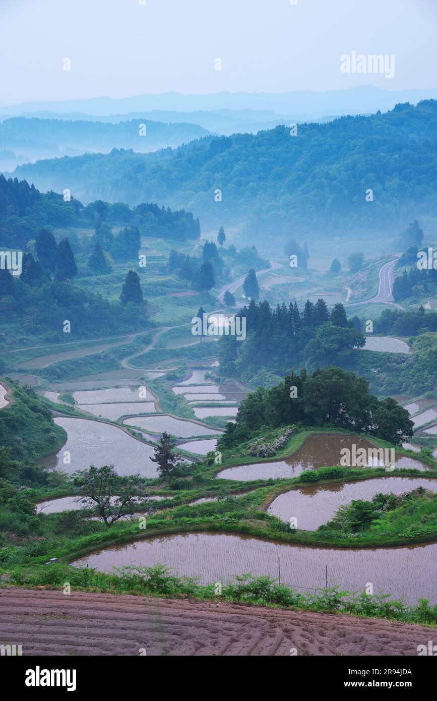 Rice terraces of star pass hi-res stock photography and images - Alamy
