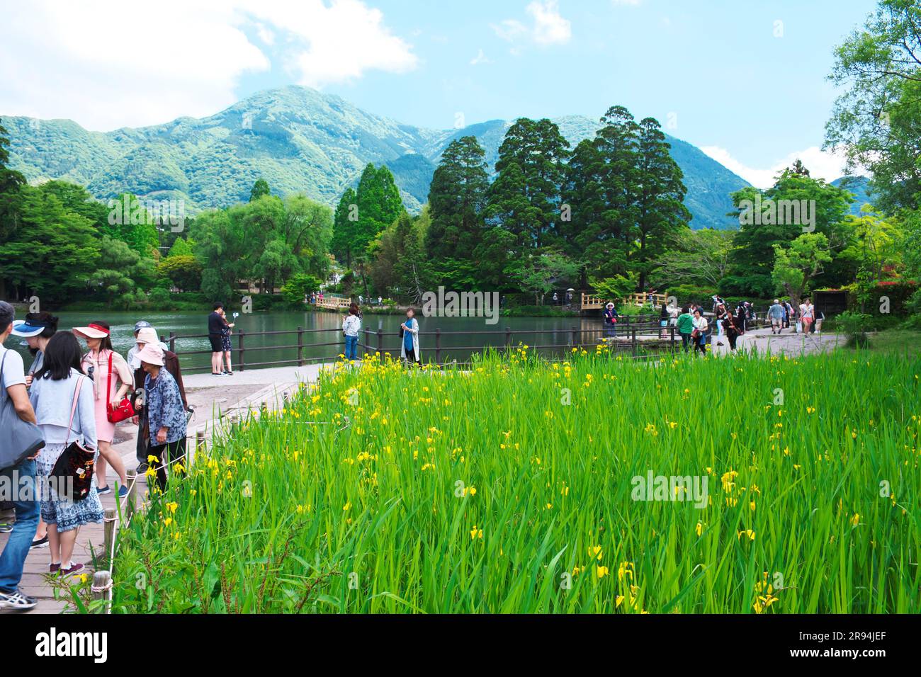 Kinrin hi-res stock photography and images - Alamy