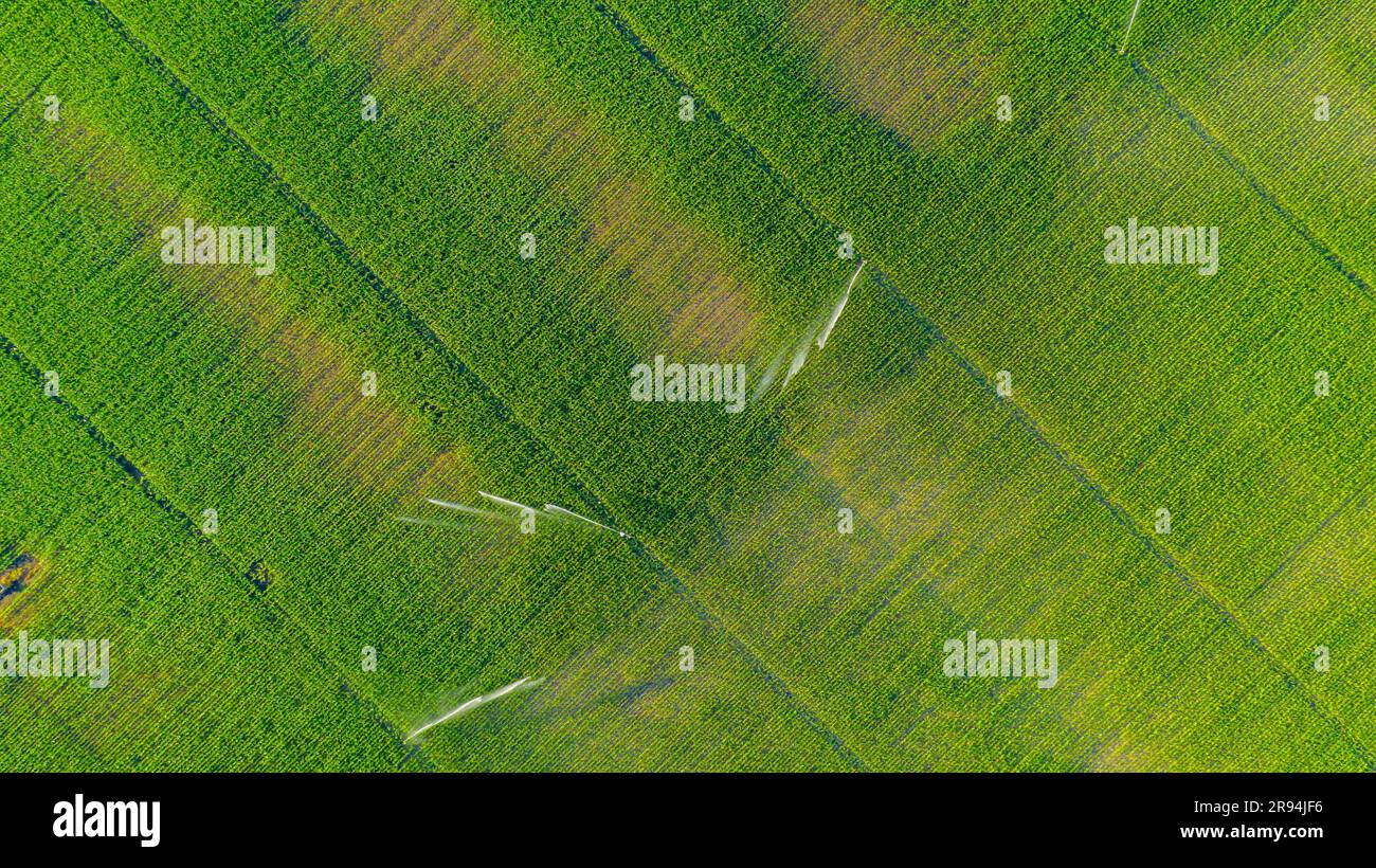 Above top view of irrigation system, water jet rain guns sprinklers, on ...