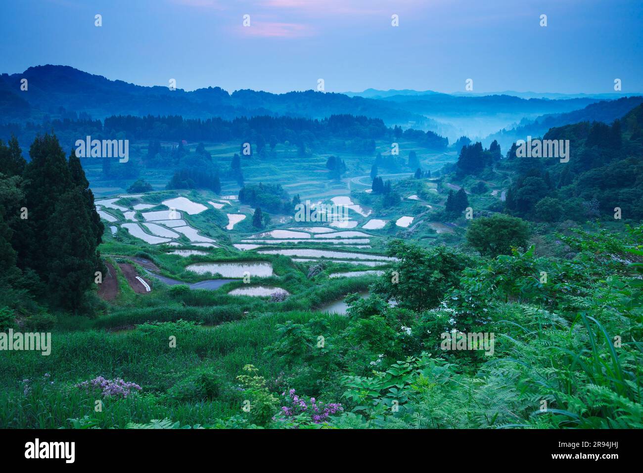 Rice terraces of star pass hi-res stock photography and images - Alamy
