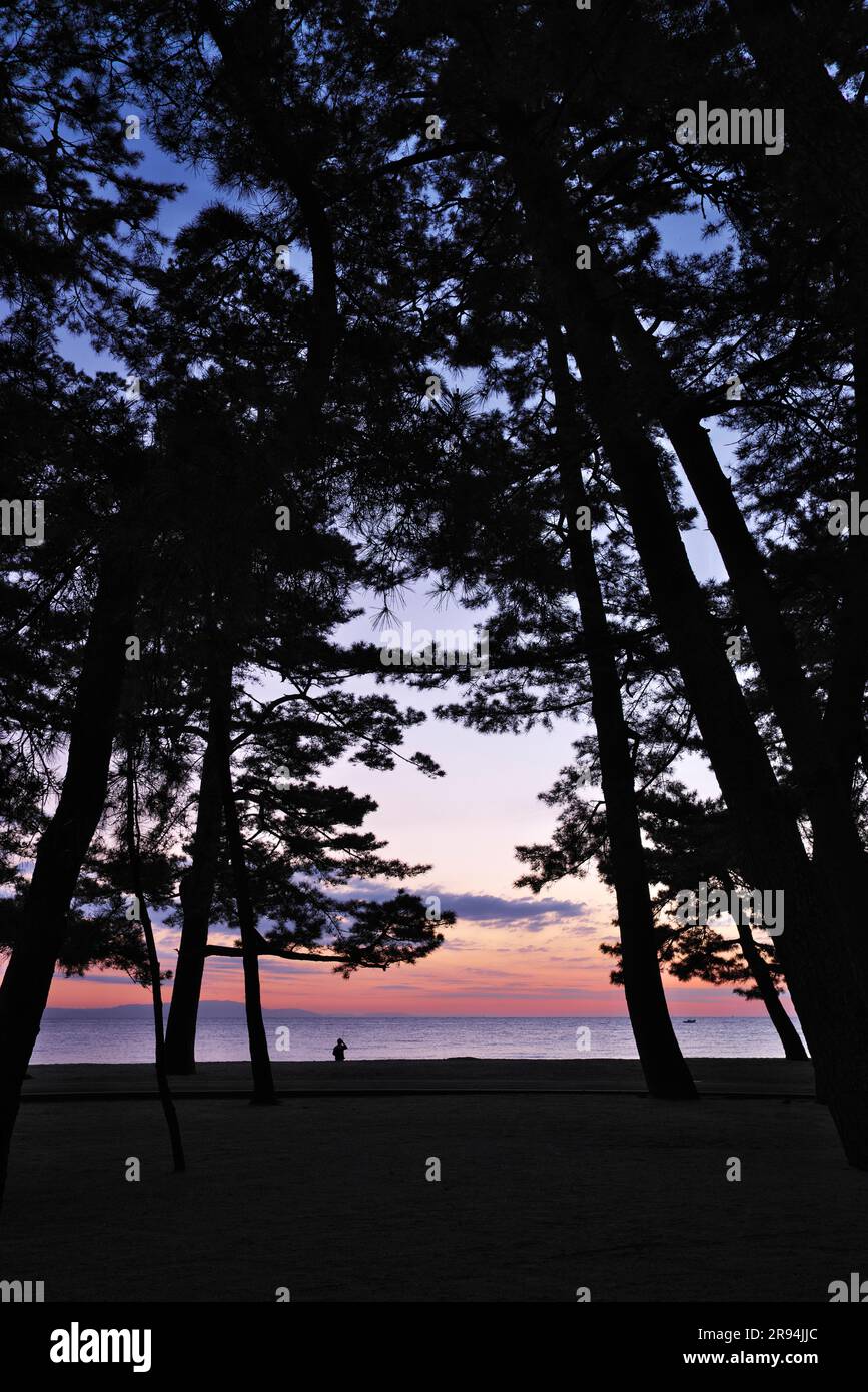 Morning in Ohama Park Stock Photo - Alamy