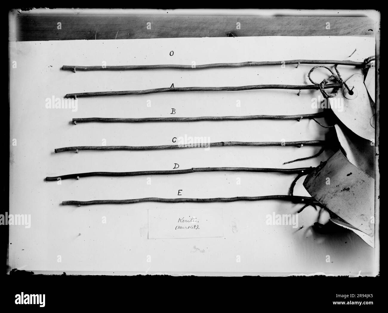 Glass Negative of Kerite (Market Stock Photo - Alamy