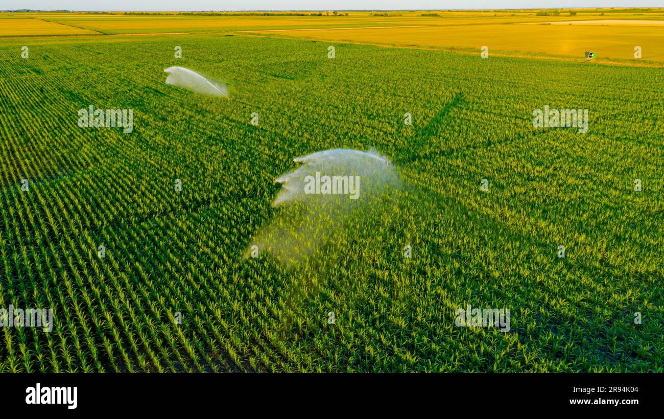 Above view of irrigation system, water jet rain guns sprinklers, on ...