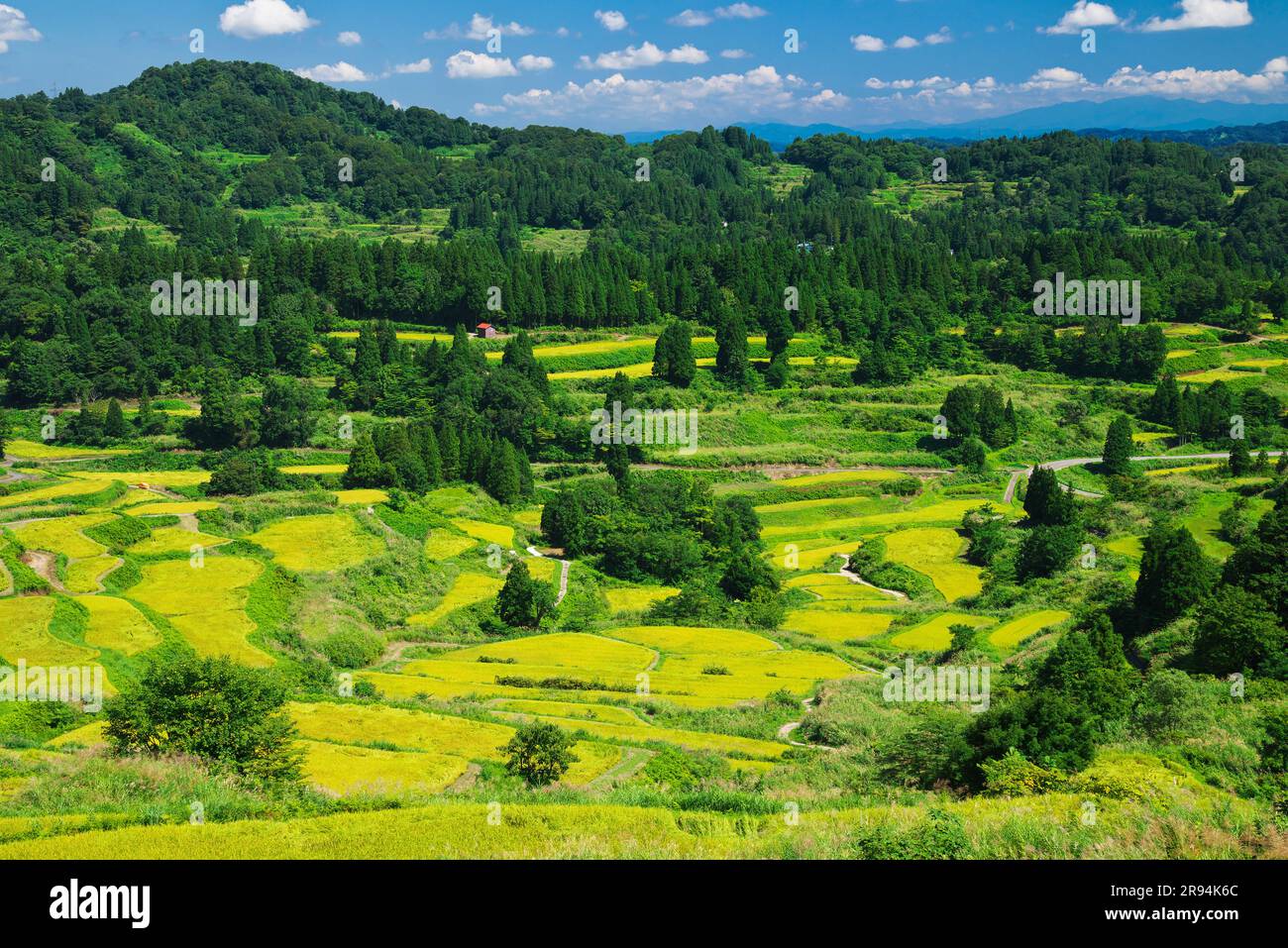 Rice terraces of Hoshitoge Stock Photo - Alamy