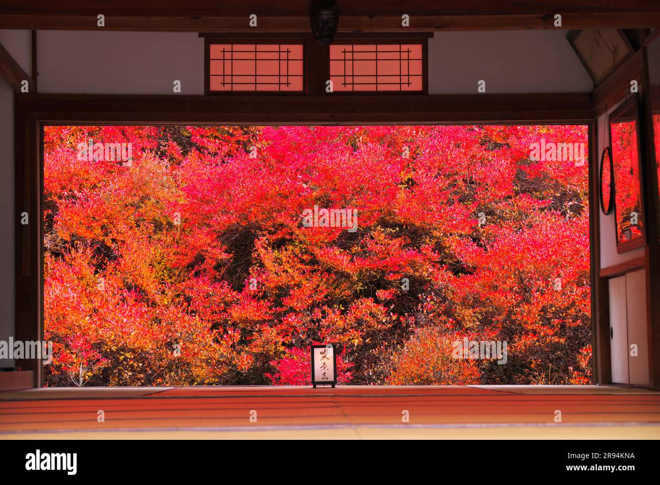 Dodan azalea at Angoku-ji Temple Stock Photo - Alamy