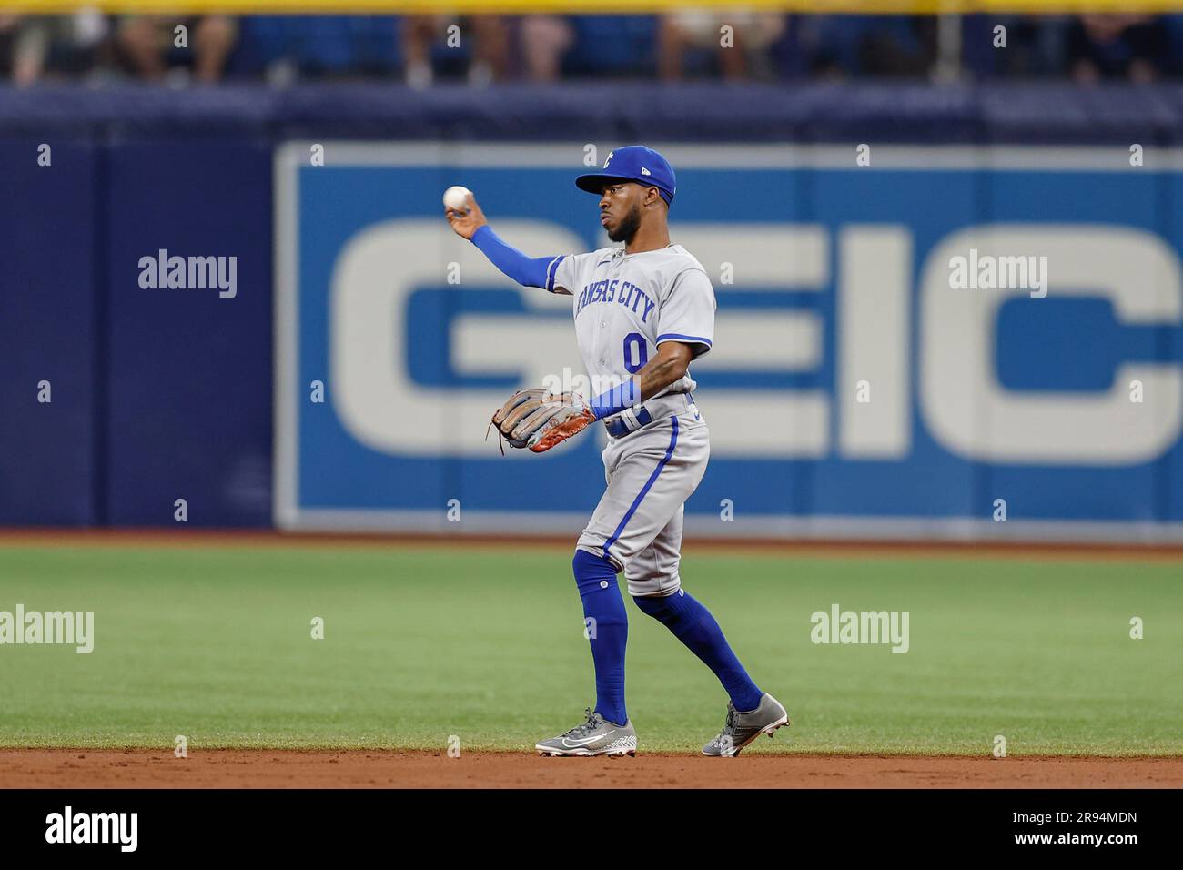 St. Petersburg, FL USA; Kansas City Royals second baseman Samad Taylor ...
