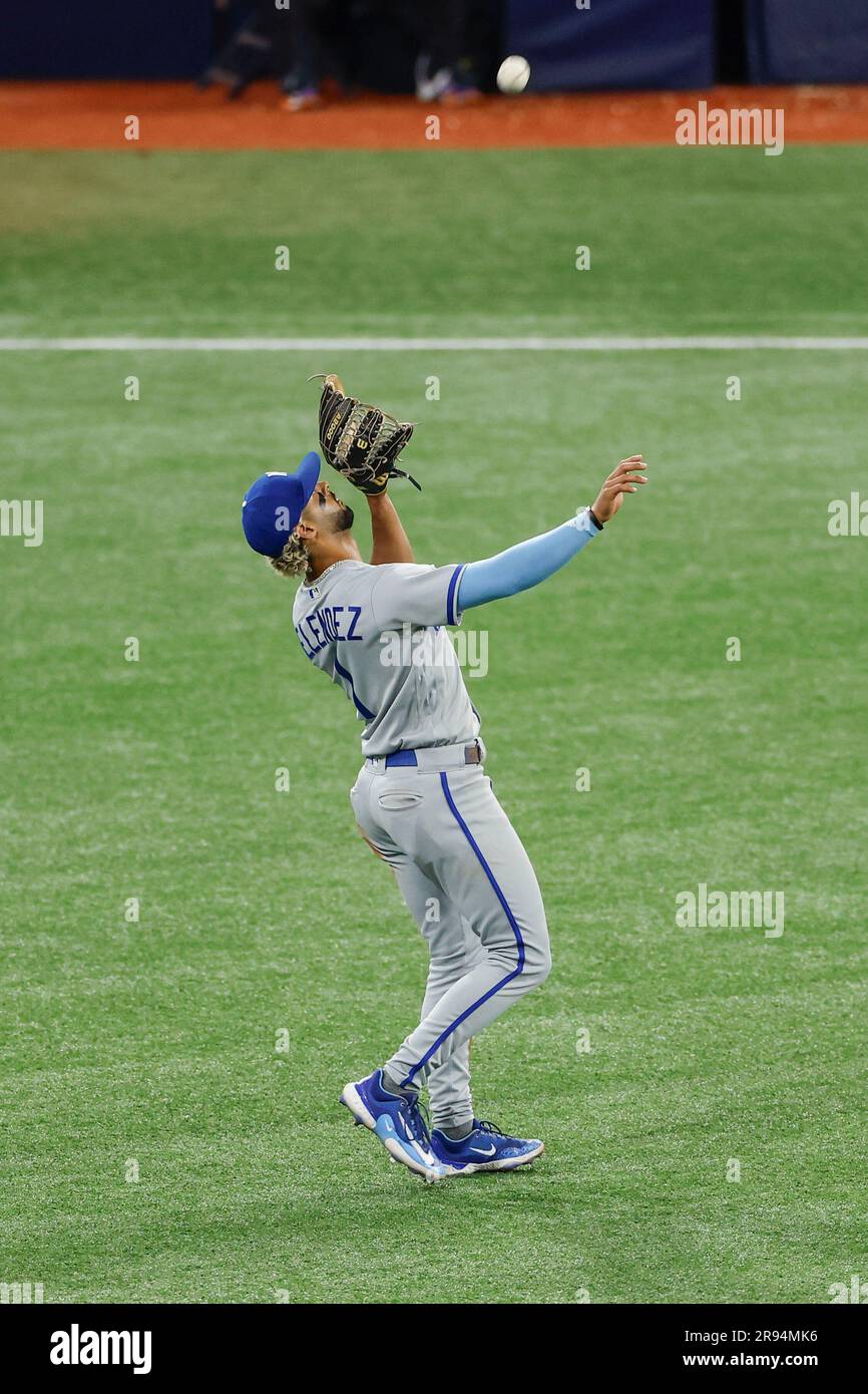 St. Petersburg, FL USA; Kansas City Royals right fielder MJ Melendez (1 ...