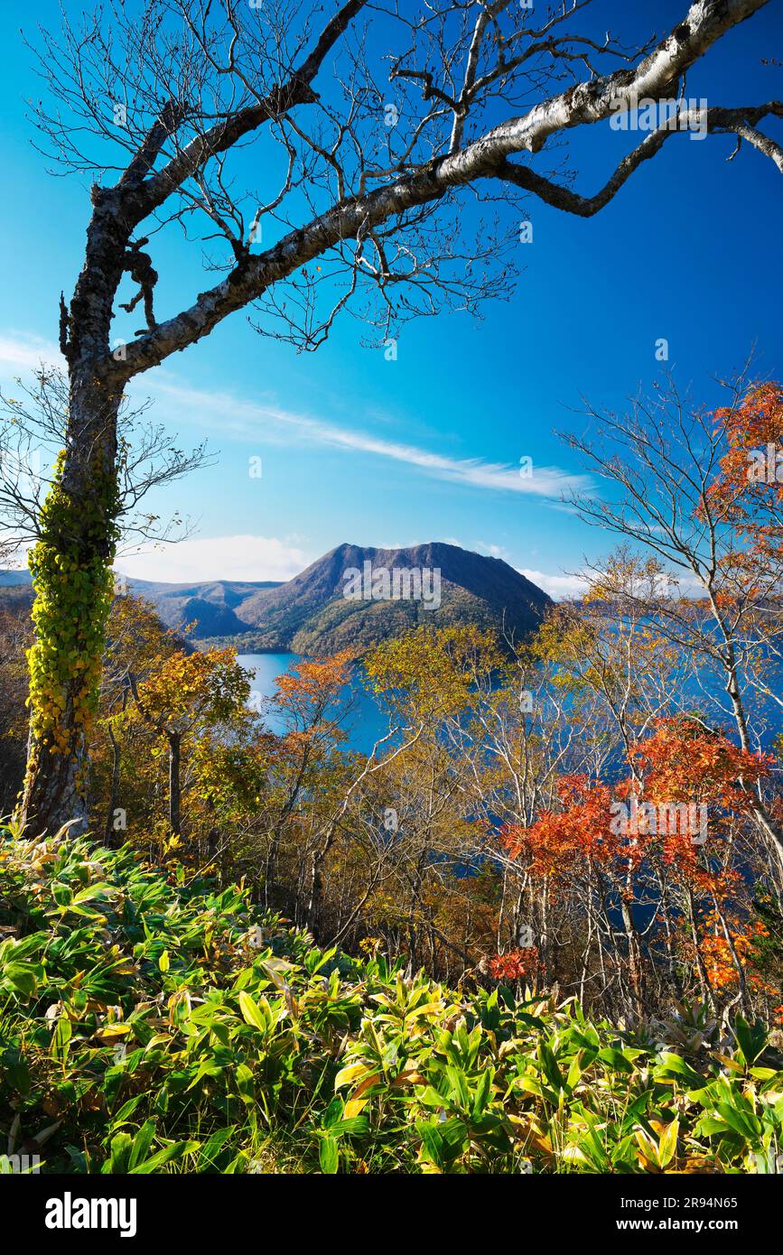 Lake Mashu during autumn Stock Photo - Alamy