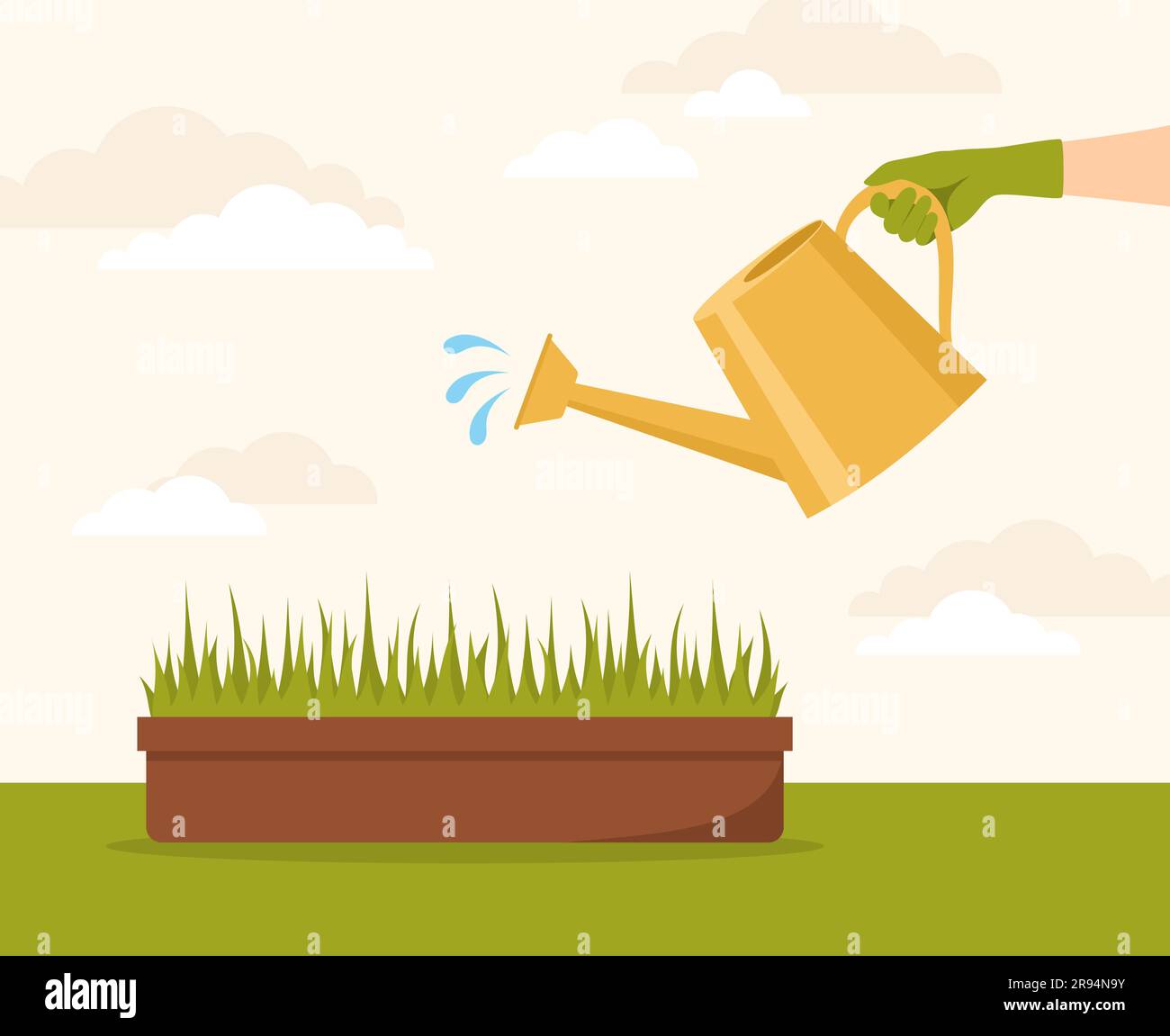 A hand in a rubber glove watering a seedling in a box from a watering ...