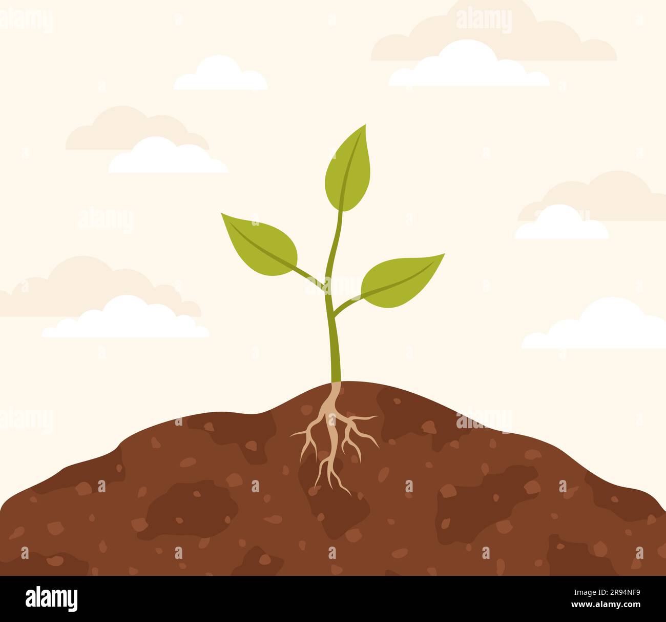 Young plant sprouting from the ground Stock Vector Images - Alamy