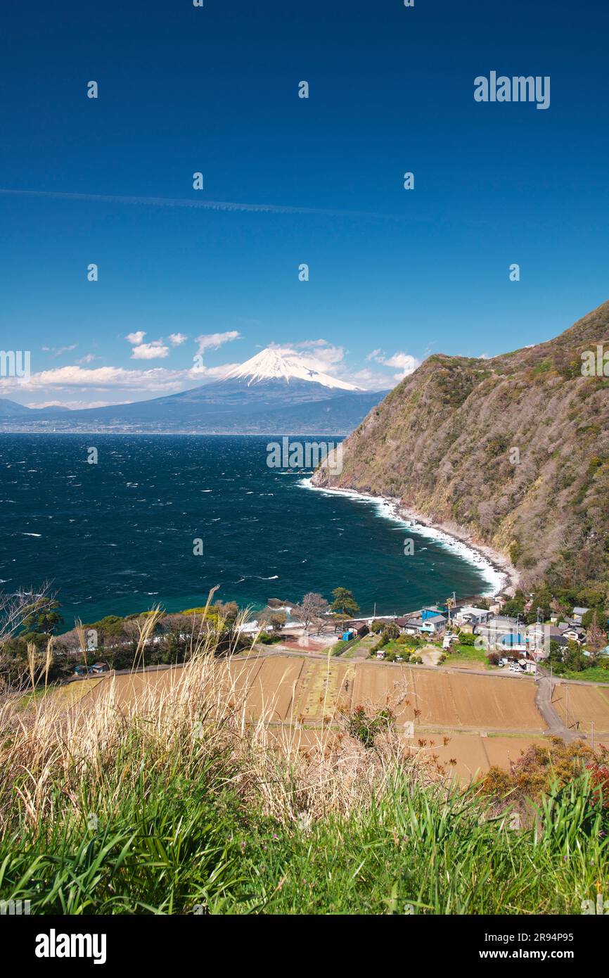 Mt. Fuji and Suruga Bay Stock Photo - Alamy