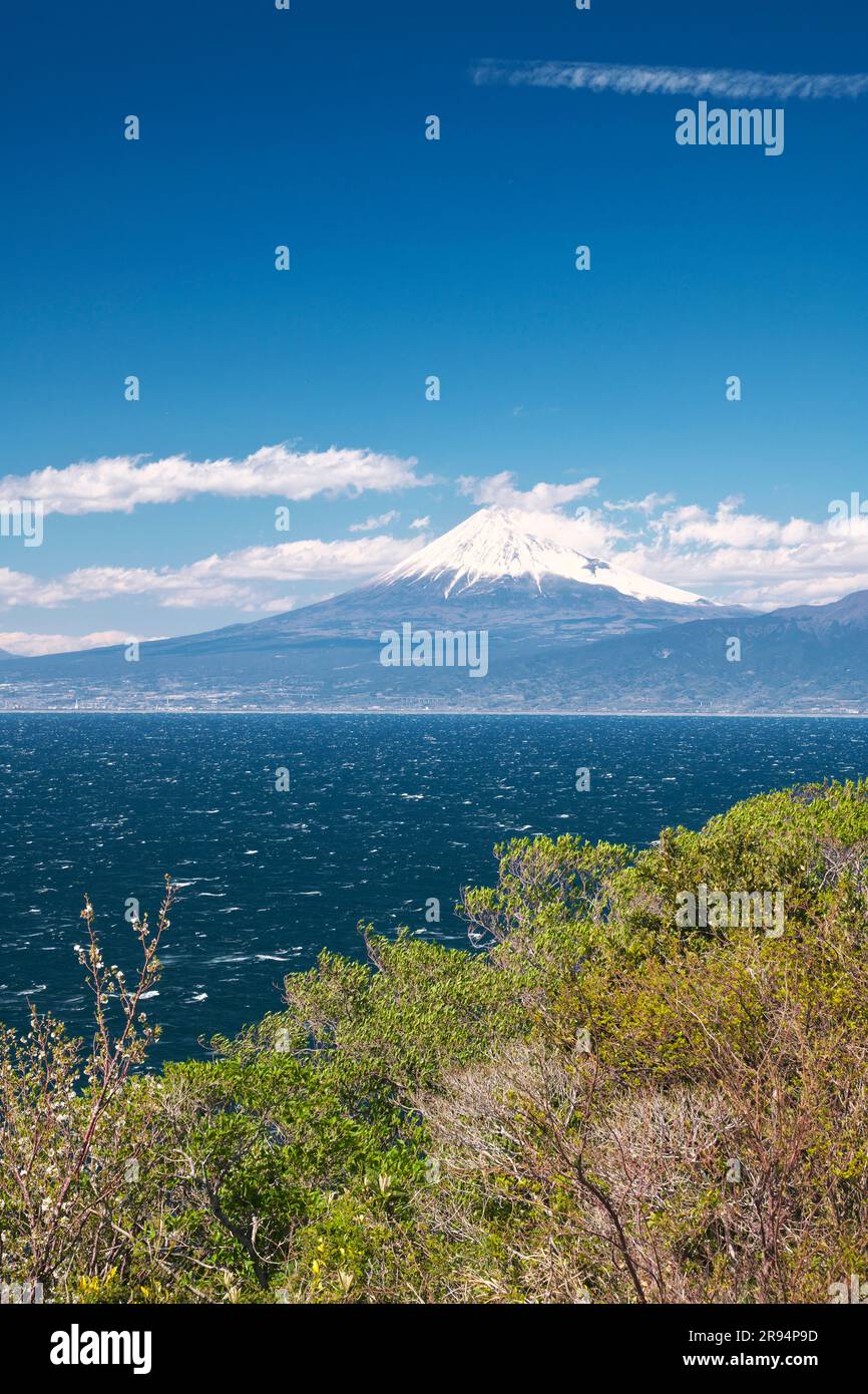 Mt. Fuji and Suruga Bay Stock Photo - Alamy