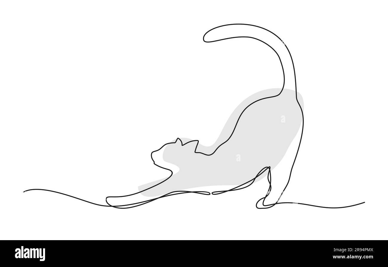 A cat stretching on a white background. Line art vector illustration ...