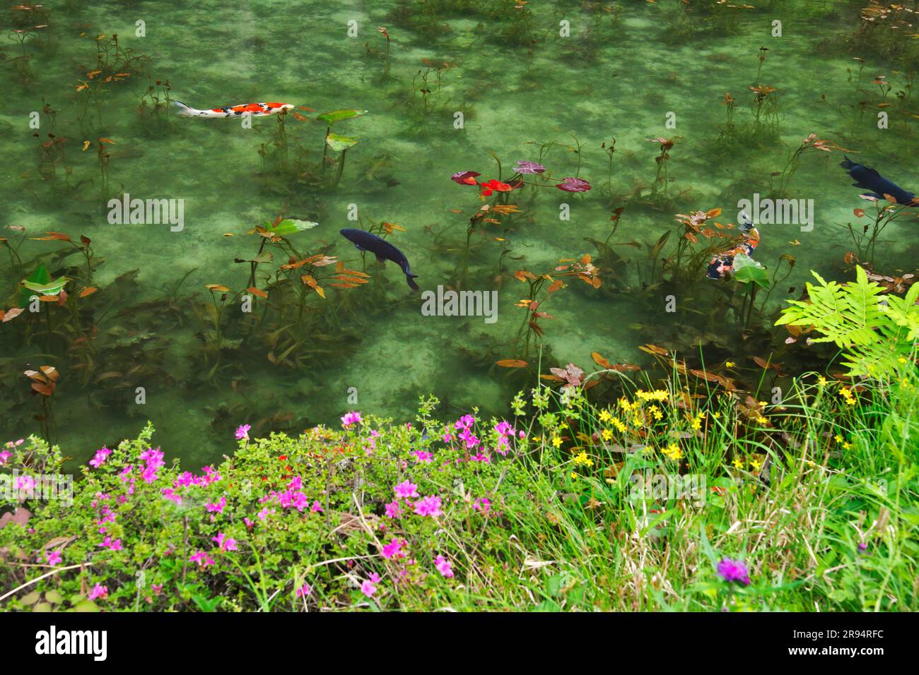 Monet's pond seki hi-res stock photography and images - Alamy