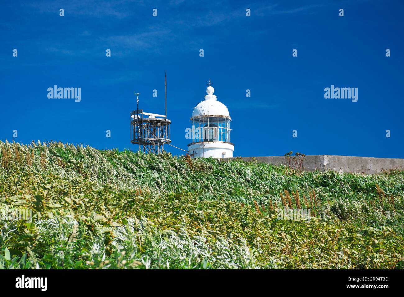 Misaki lighthouse hi-res stock photography and images - Alamy
