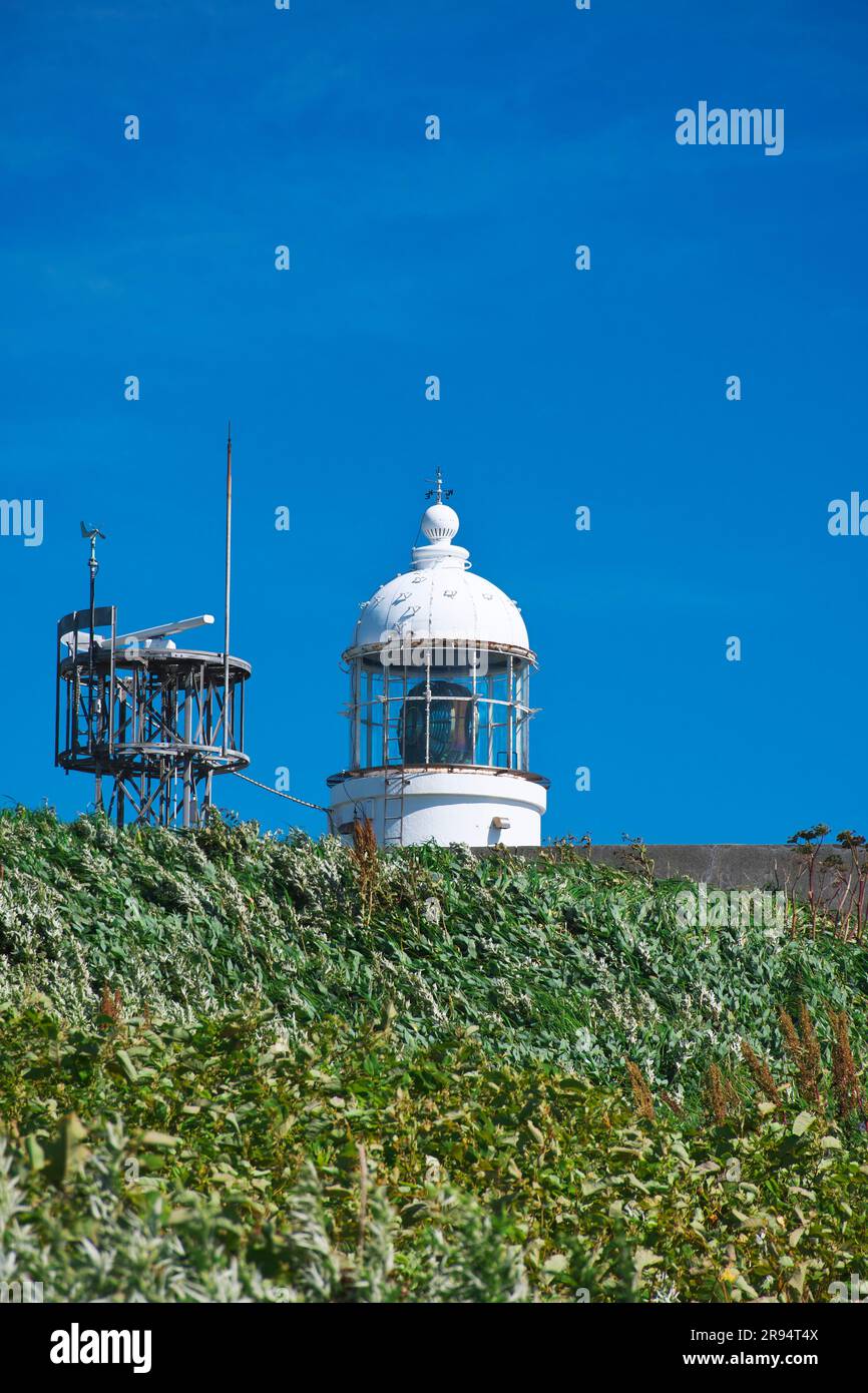 Misaki hi-res stock photography and images - Alamy