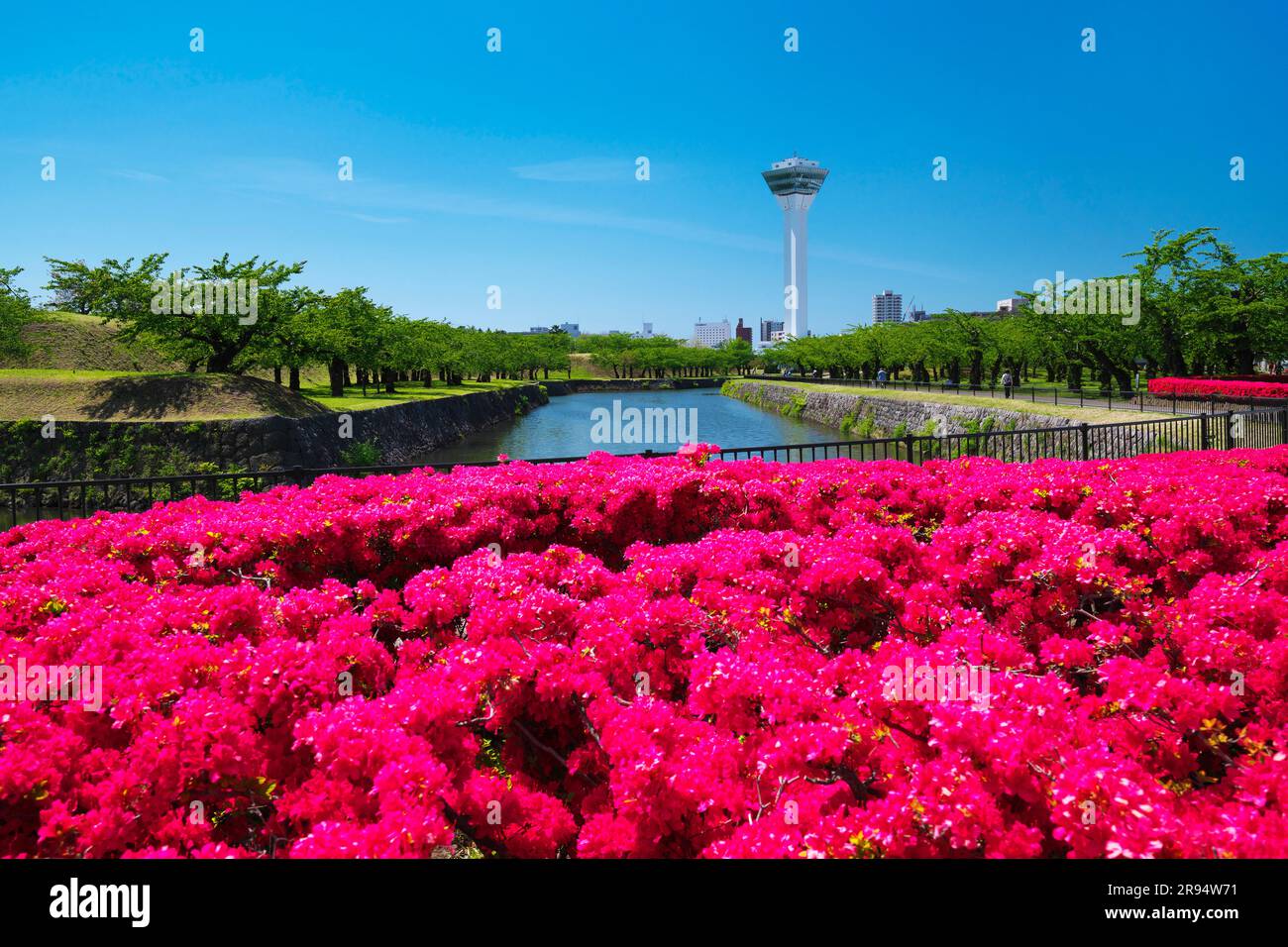 Goryokaku Park and Goryokaku Tower and azaleas Stock Photo - Alamy