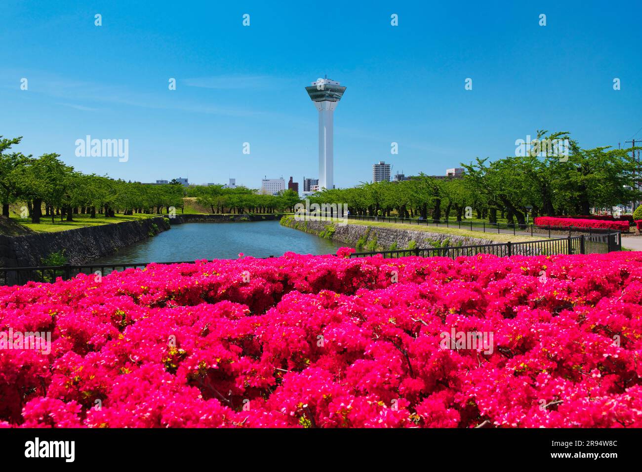 Goryokaku Park and Goryokaku Tower and azaleas Stock Photo - Alamy