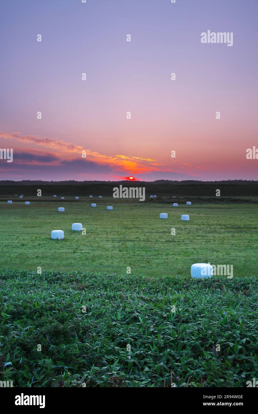 Pasture Roll and Sunrise Stock Photo - Alamy