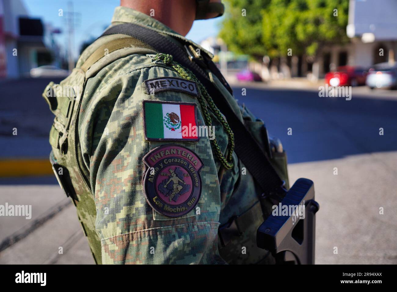 A military personnel dressed in a camouflage uniform and carrying a ...