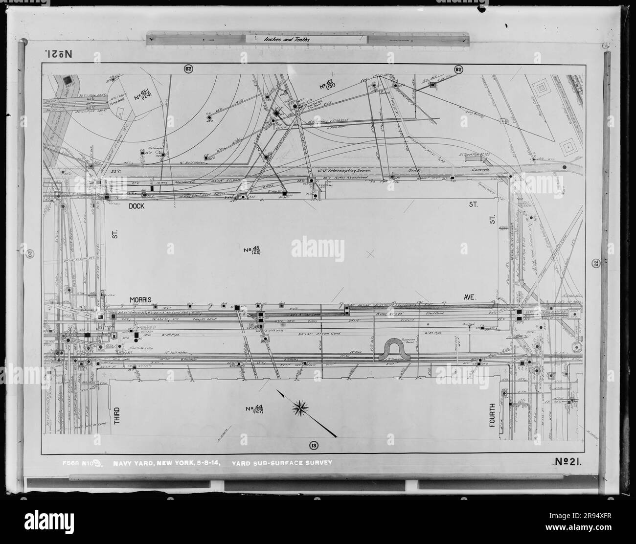 Yard Sub-Surface Survey, Number 21. Glass Plate Negatives of the ...