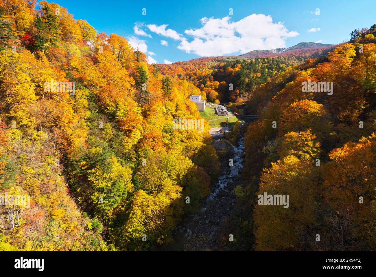 Autumn colors of Shintamagawa Onsen Stock Photo - Alamy