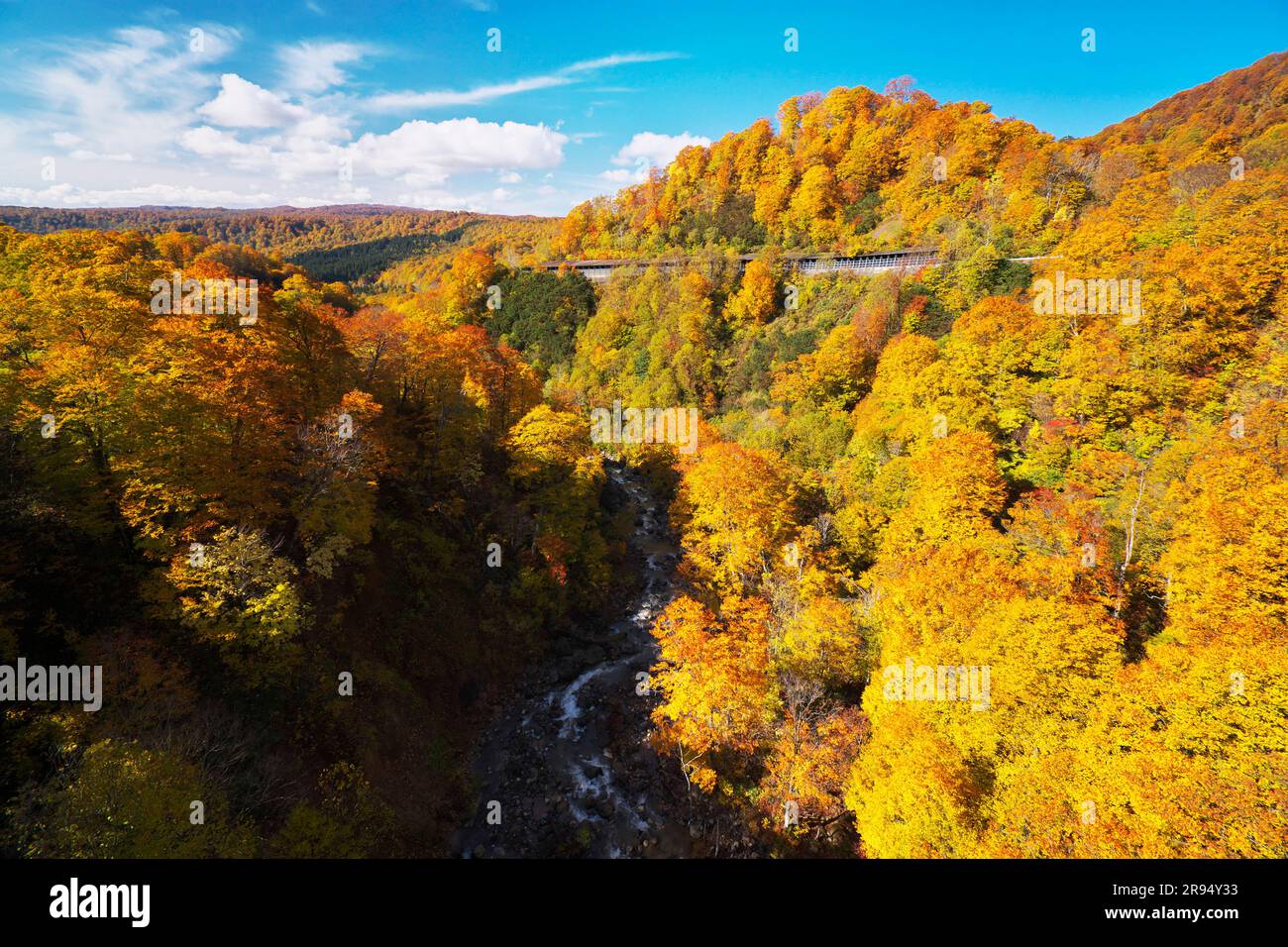 Autumn colors of Shintamagawa Onsen Stock Photo - Alamy
