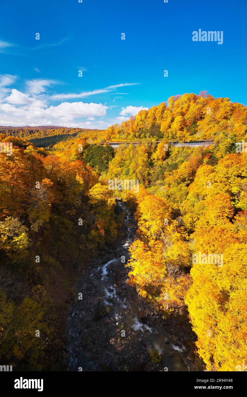 Autumn colors of Shintamagawa Onsen Stock Photo - Alamy