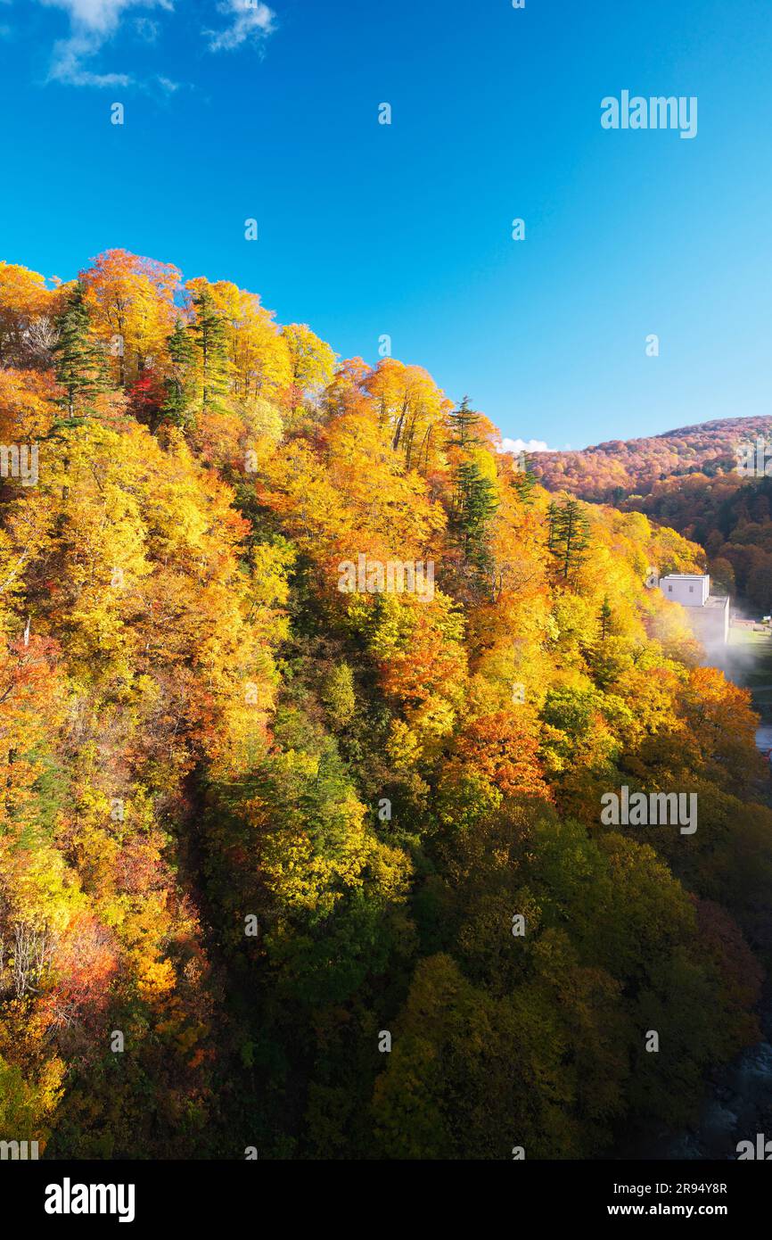 Autumn colors of Shintamagawa Onsen Stock Photo - Alamy