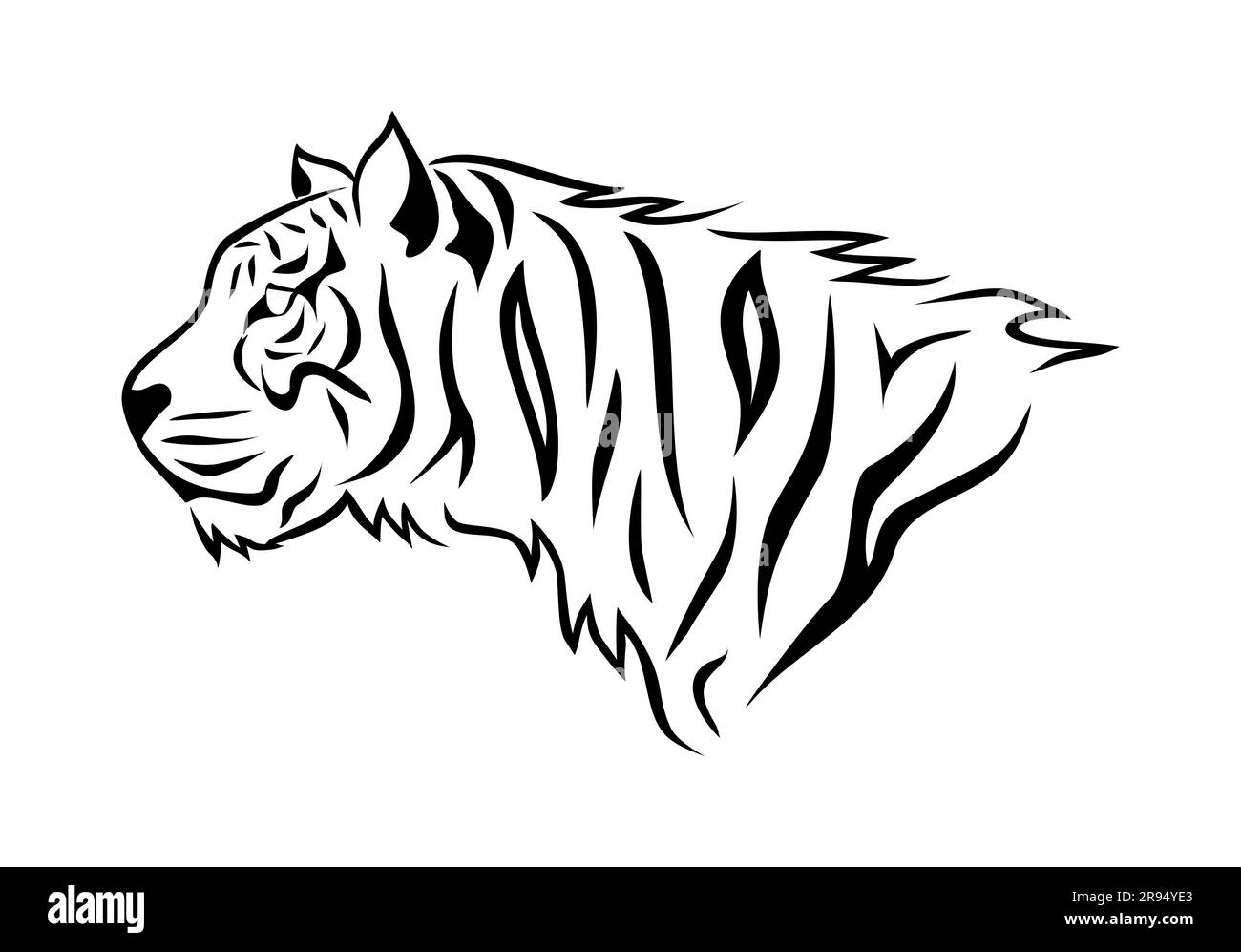 How To Draw A Tiger Head Side View