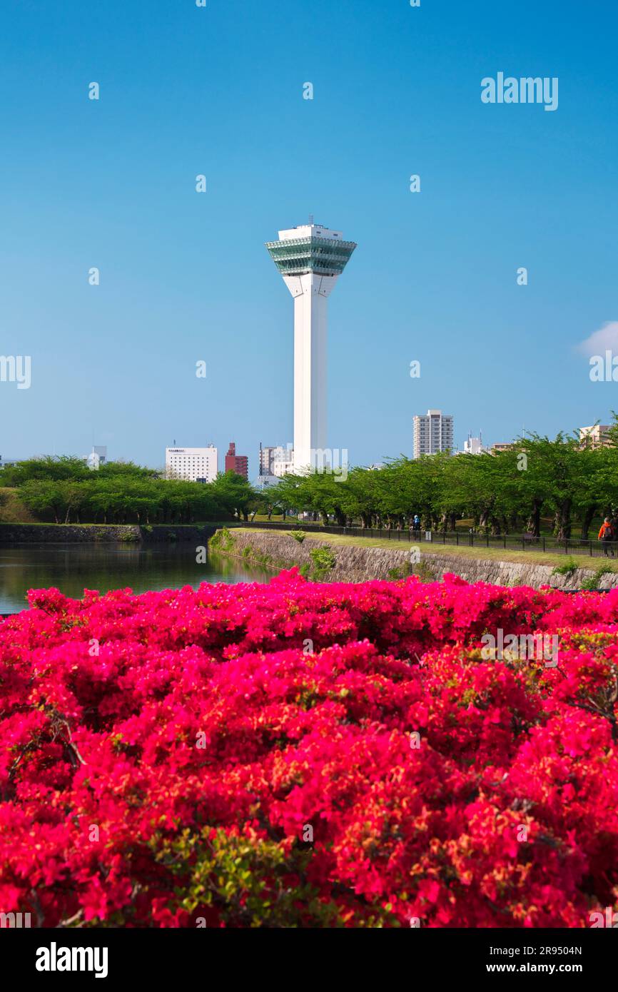 Goryokaku Tower and azaleas in Goryokaku Park Stock Photo - Alamy