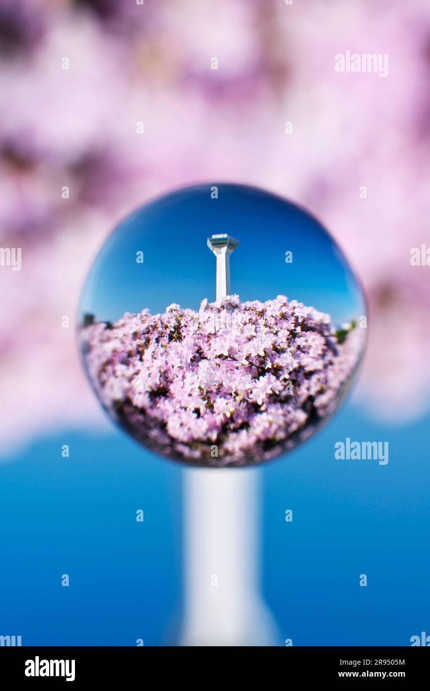 Goryokaku Tower and azaleas in Goryokaku Park Stock Photo - Alamy