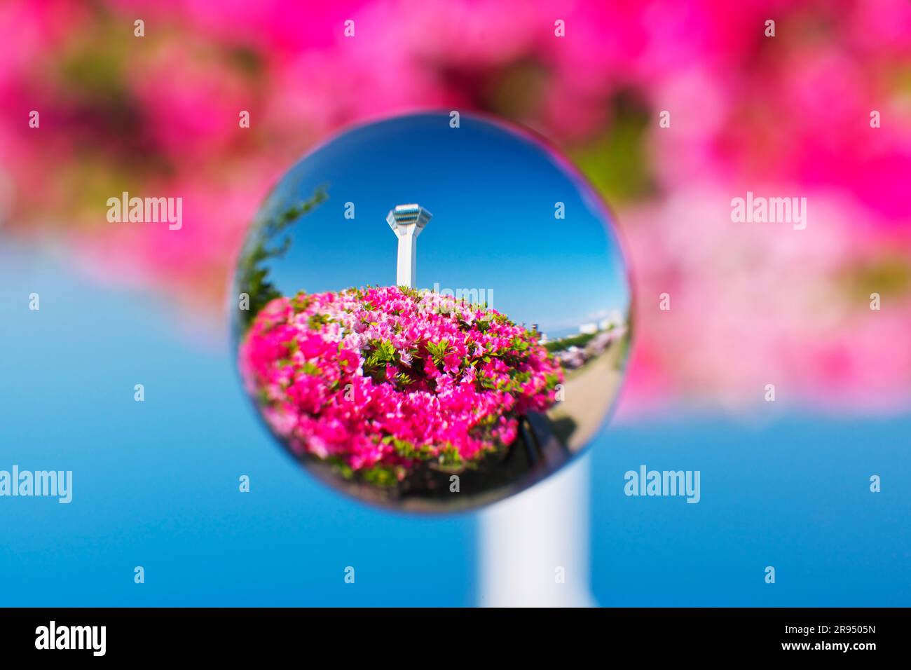 Goryokaku Tower and azaleas in Goryokaku Park Stock Photo - Alamy