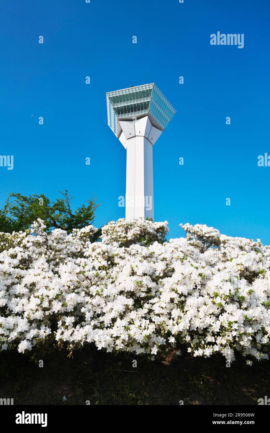 Goryokaku Tower and azaleas in Goryokaku Park Stock Photo - Alamy
