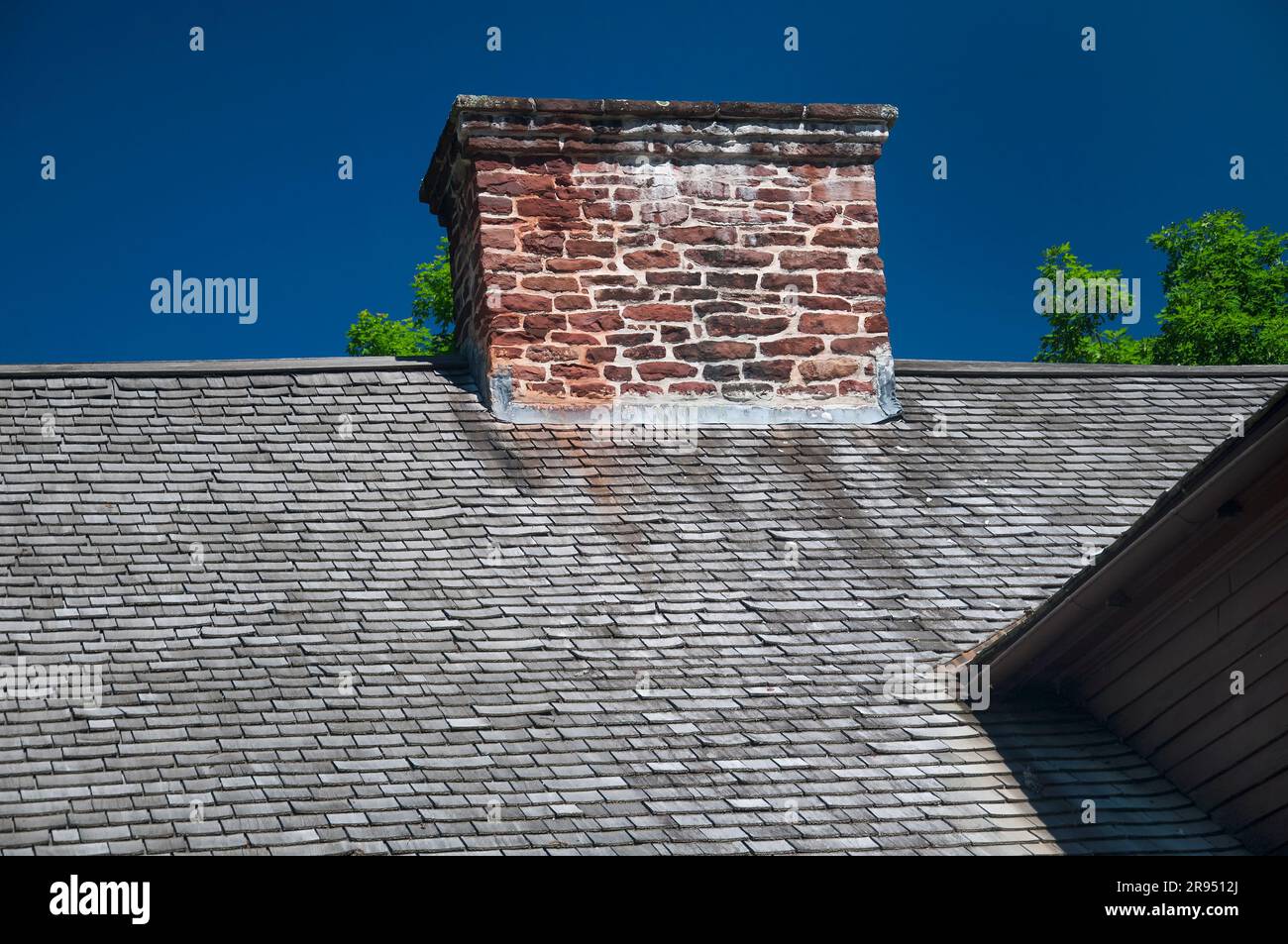 Stanley whitman hi-res stock photography and images - Alamy