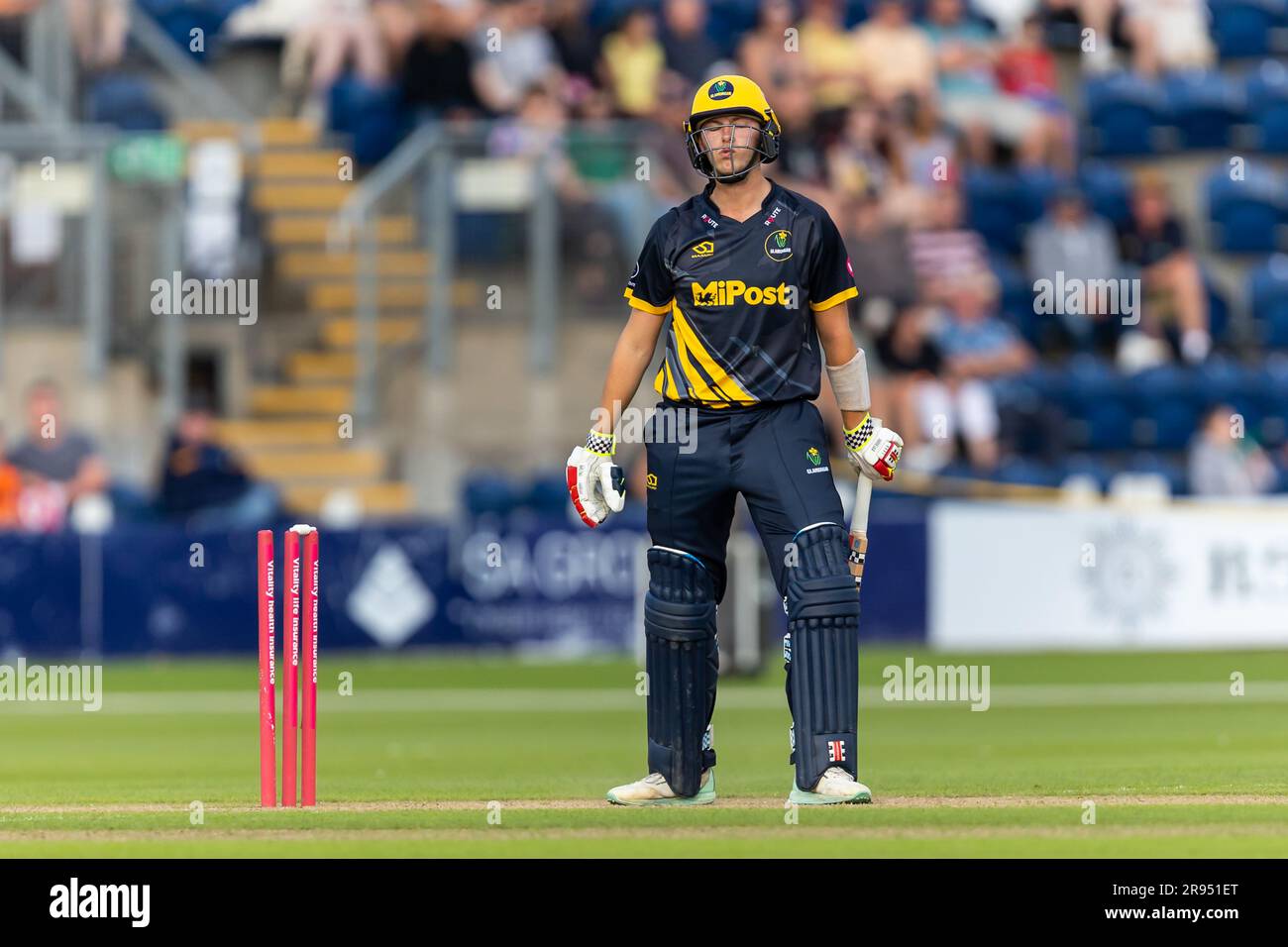 Sussex cricket 2023 hi-res stock photography and images - Alamy
