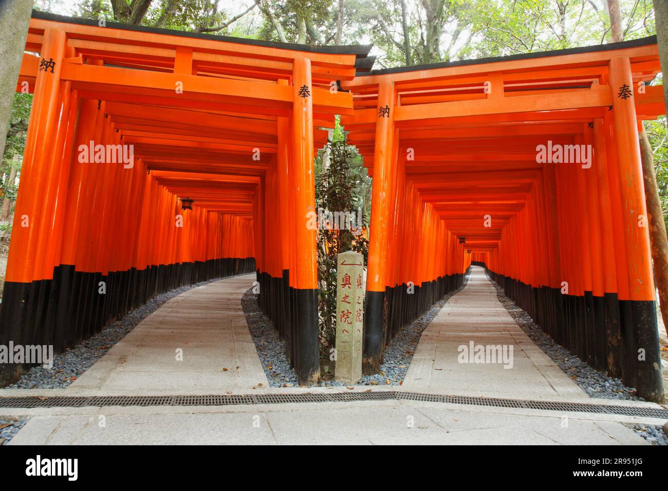 Thousand Torii corridor of Fushimi Inari-Taisha Stock Photo - Alamy
