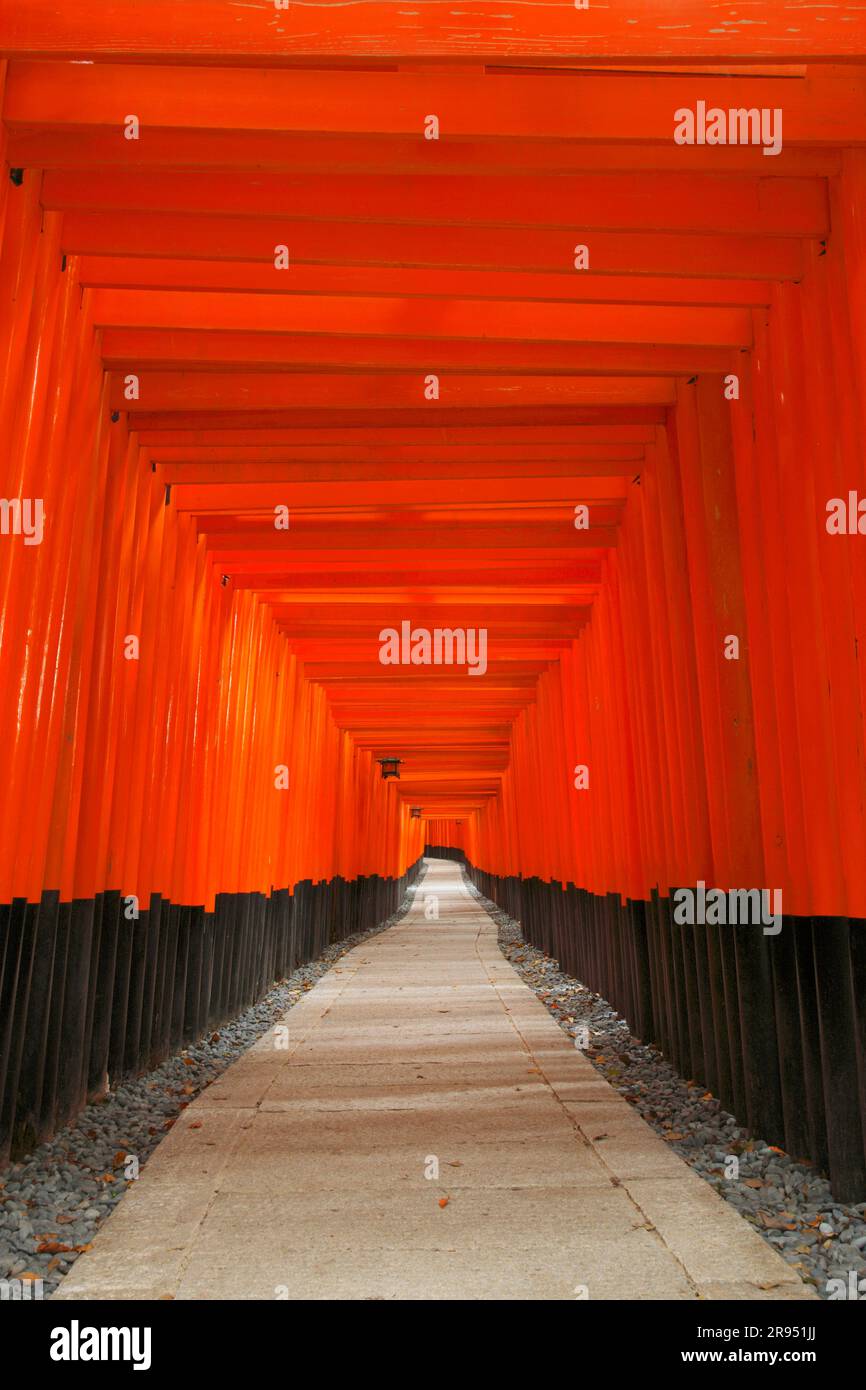Thousand Torii corridor of Fushimi Inari-Taisha Stock Photo - Alamy