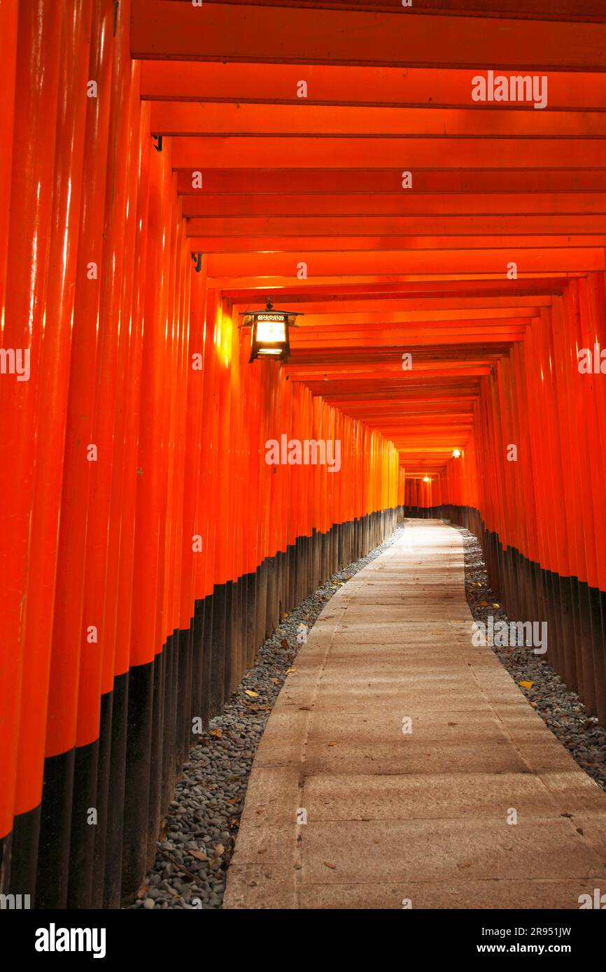 Thousand Torii corridor of Fushimi Inari-Taisha Stock Photo - Alamy