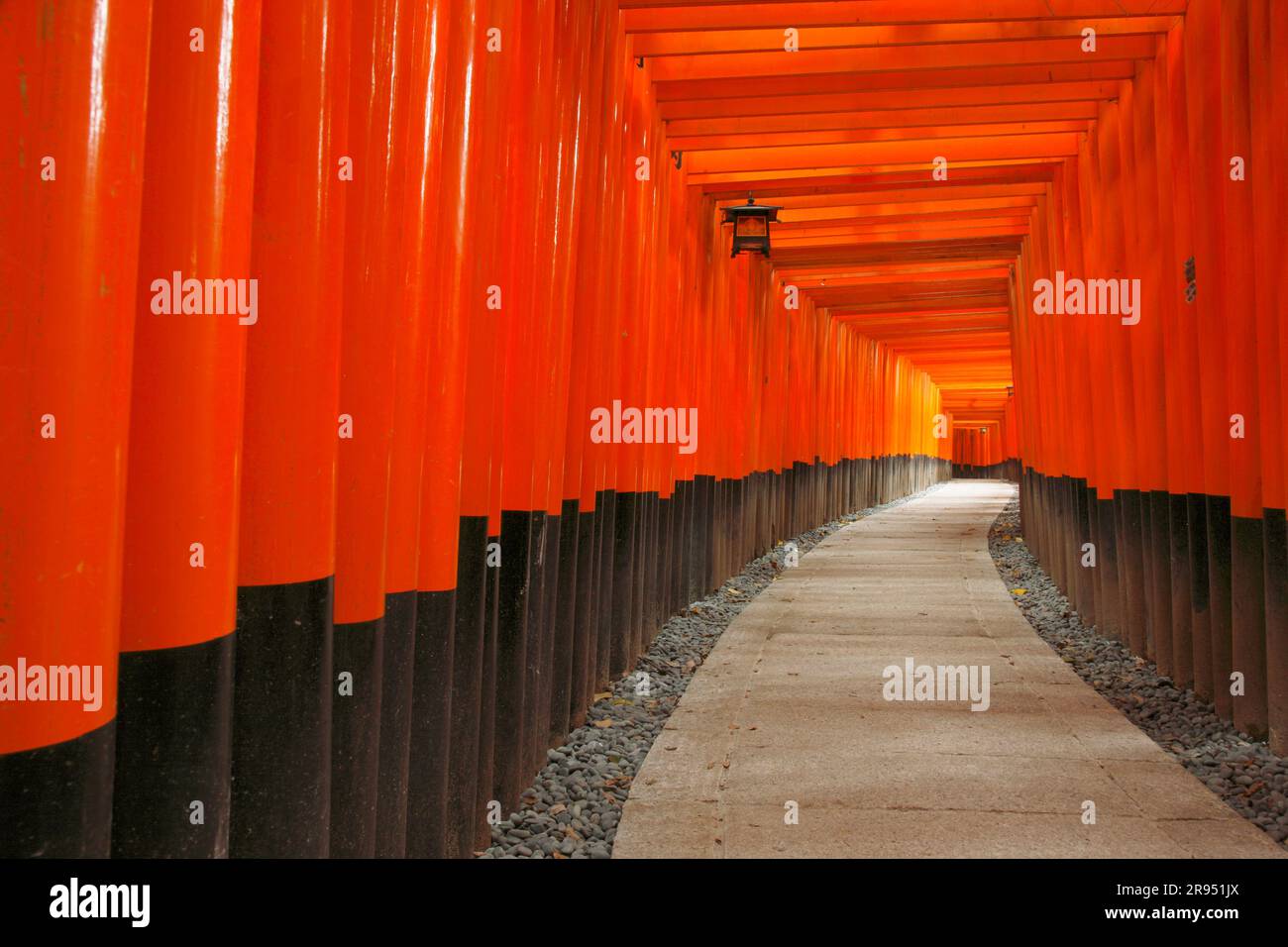 Thousand Torii corridor of Fushimi Inari-Taisha Stock Photo - Alamy