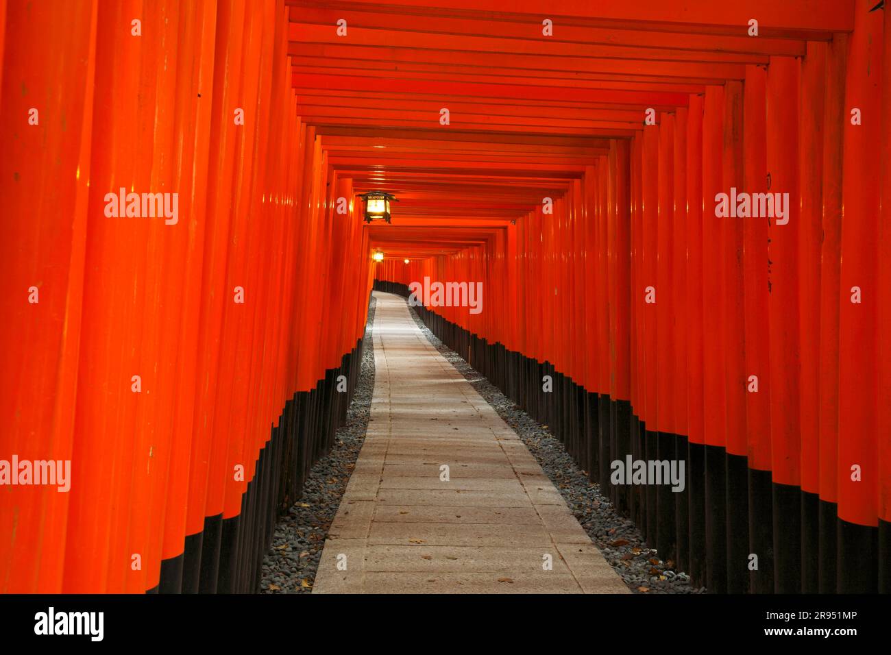 Thousand Torii corridor of Fushimi Inari-Taisha Stock Photo - Alamy