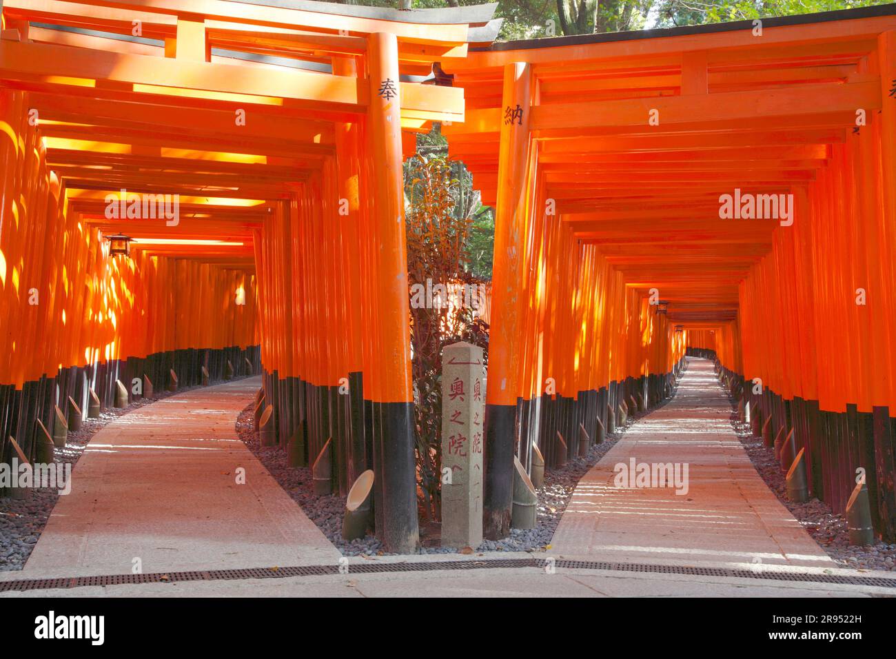 Thousand Torii corridor of Fushimi Inari-Taisha Stock Photo - Alamy
