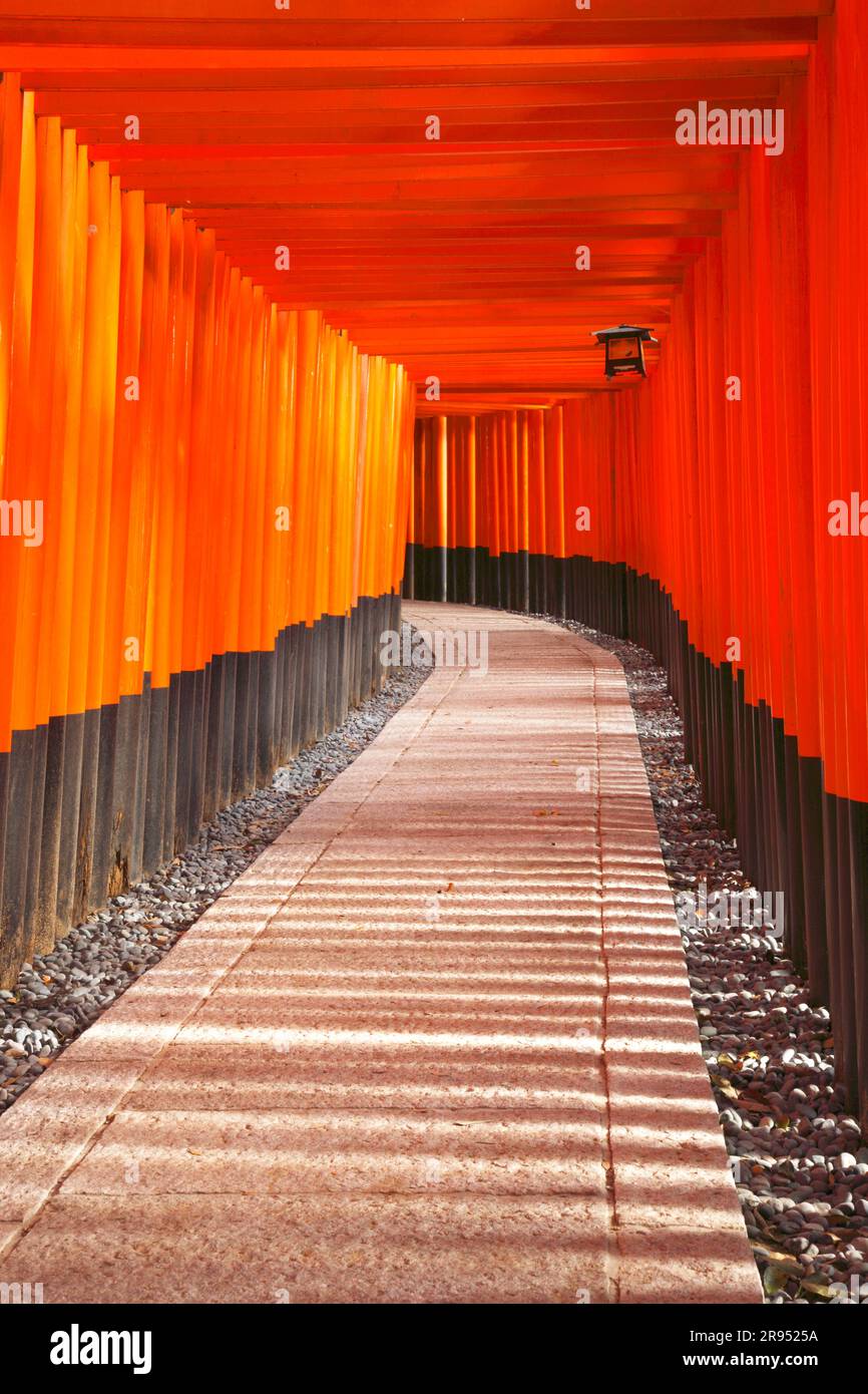 Thousand Torii corridor of Fushimi Inari-Taisha Stock Photo - Alamy
